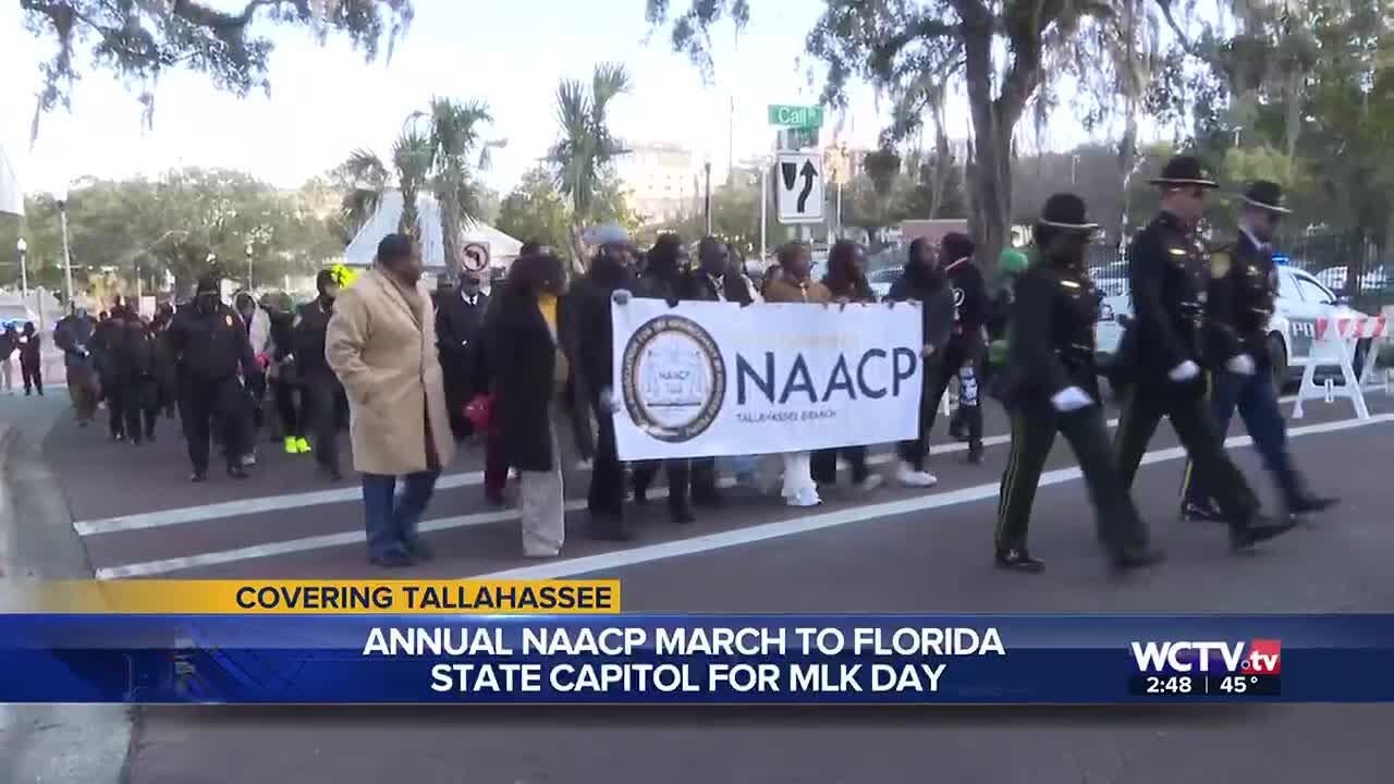 Annual NAACP march to Florida State Capitol takes place in celebration ...
