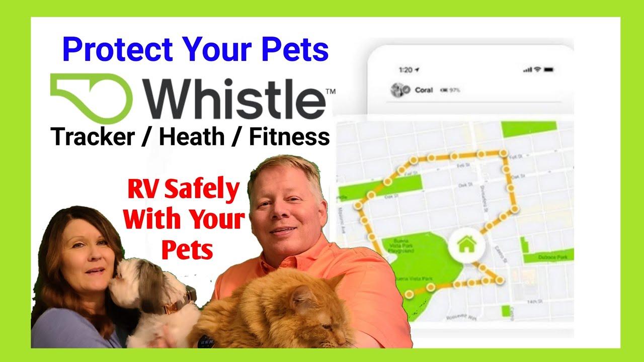 Here's the Best GPS Pet Tracker - Whistle Go Explore - YouTube
