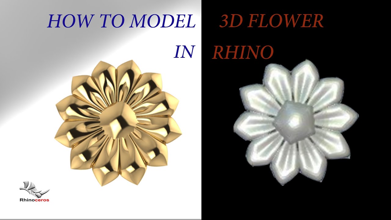 How to model 3D flower in Rhino# - YouTube
