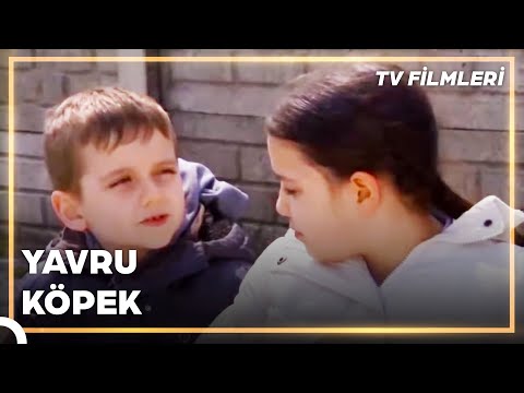 Yavru Köpek - Kanal 7 TV Filmi