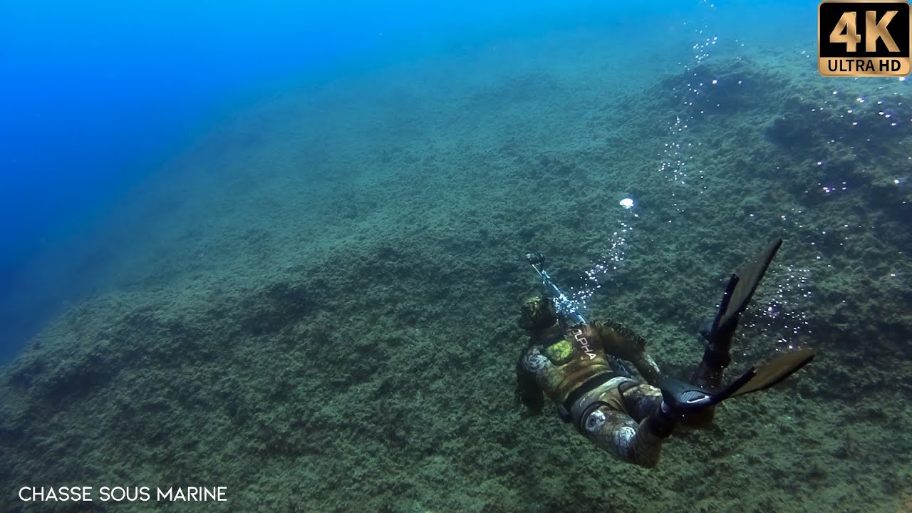 CHASSE SOUS MARINE Apnée Poulpe poisson Méditerranée - Techniques Peche ...