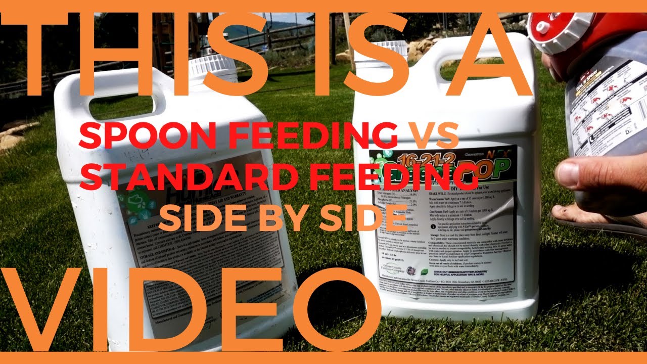 SPOON FEEDING Fertilizer vs STANDARD Fertilizer Feeding, Side by Side ...