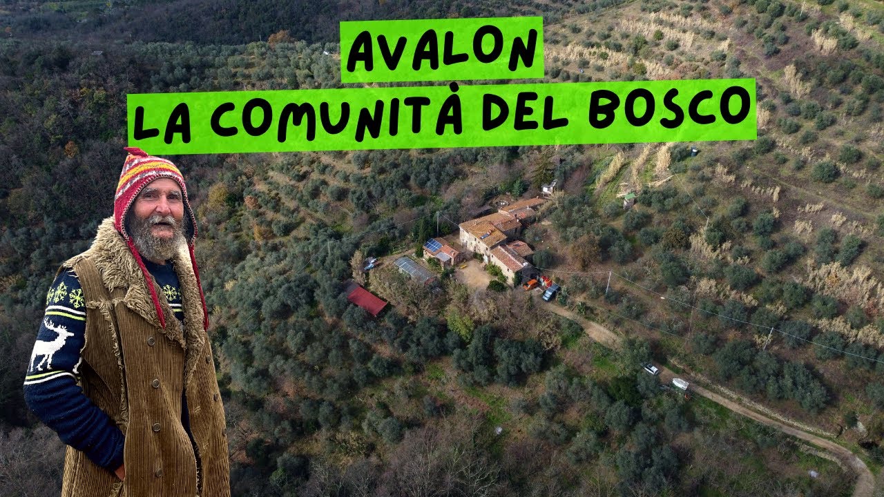 Alla scoperta del Popolo degli Elfi - YouTube