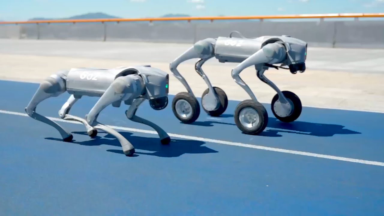 Unitree B2-W Bionic Quadruped Robot - YouTube