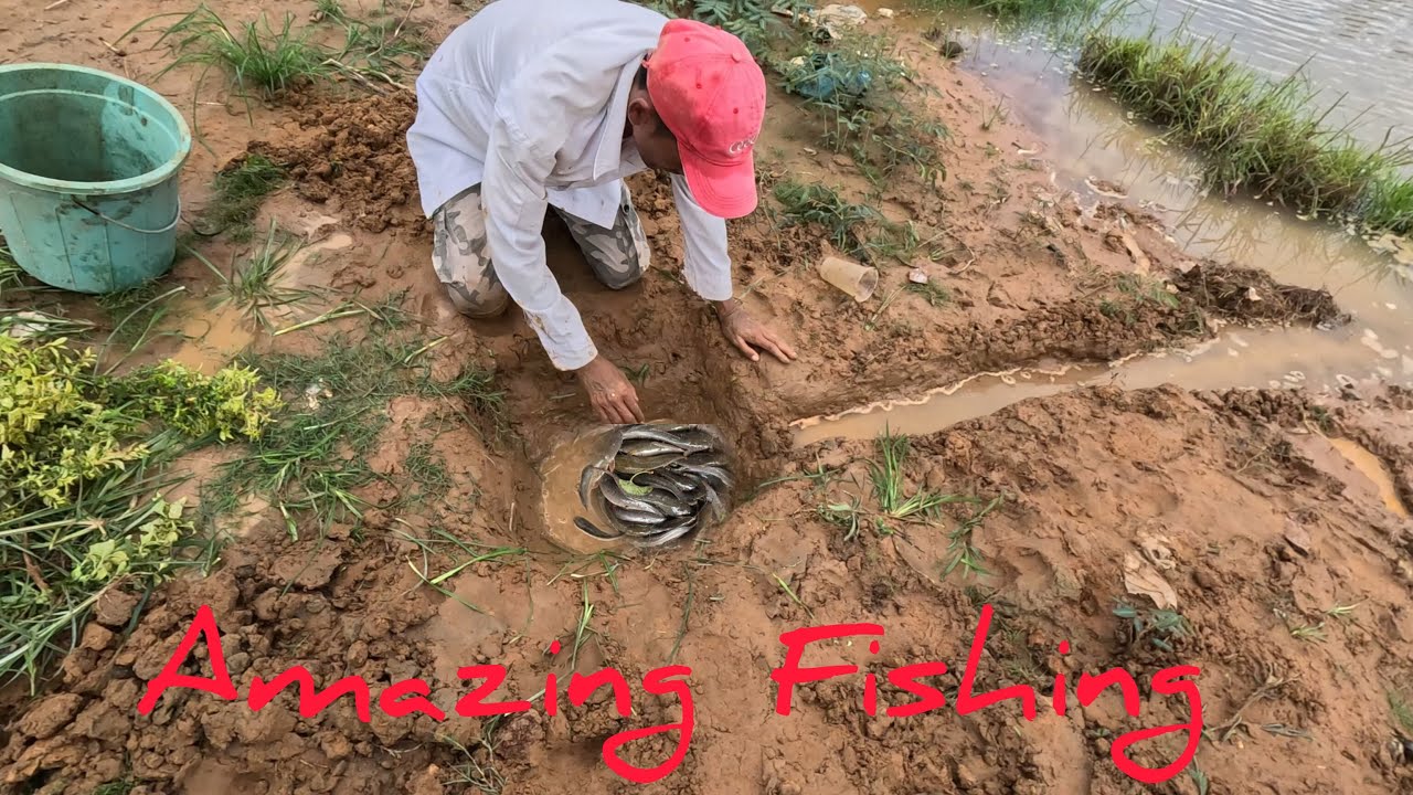 Amazing Easy Fish Trap | Unique Easy Fish Trap System. - YouTube