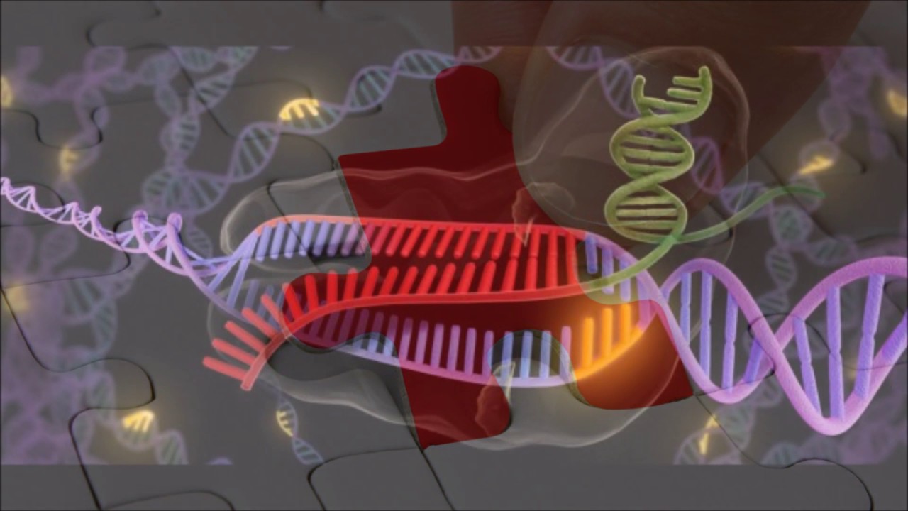 Eliminan el VIH en ratones a través de la edición genética CRISPR - YouTube