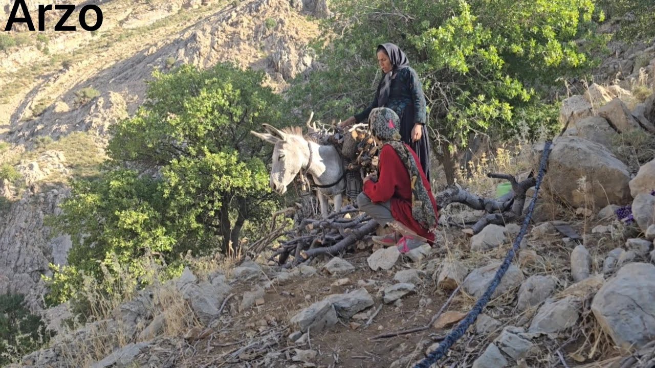 The real life of nomads A nomadwoman'sefforts to collect firewood bake ...