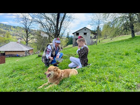 Karpatlar'daki bir dağ köyünde rahat yaşam: yeşil pancar çorbası, fırında tavuk bacakları