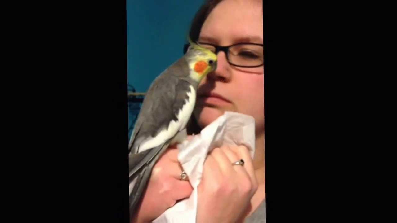 Oliver likes getting raspberries on his tummy - YouTube