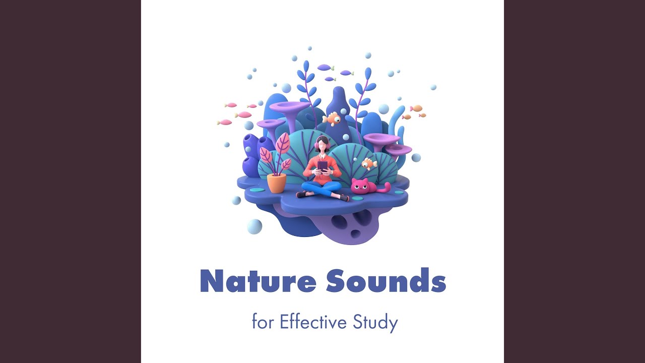 Endless Knowledge - YouTube