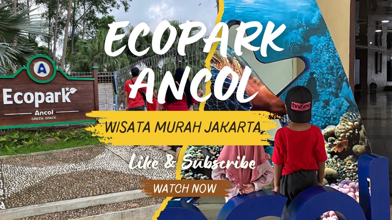 UPDATE ANCOL 2024‼️ ECOPARK ANCOL 2024 | WISATA MURAH JAKARTA | TAMAN IMPIAN JAYA ANCOL JAKARTA ...
