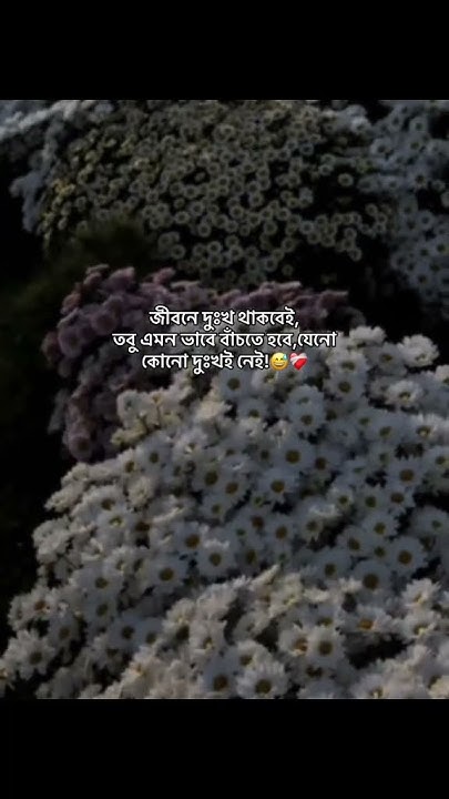 %E0%A6%9C%E0%A7%80%E0%A6%AC%E0%A6%A8%E0%A7%87+%E0%A6%A6%E0%A7%81%E0%A6 ...