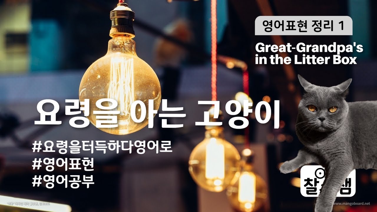 요령을 아는 고양이 - Great Grandpas in the Litter 영어표현 정리 1편 - YouTube