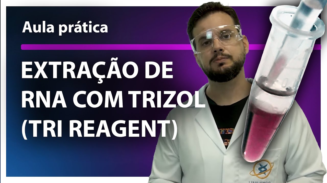 Extração de RNA com TRIzol (TRI Reagente) - aula prática - YouTube