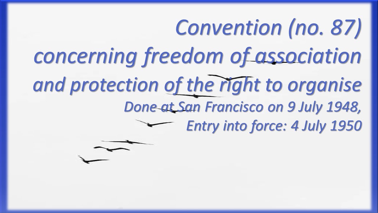 Convention no 87 concerning freedom of association and protection of ...