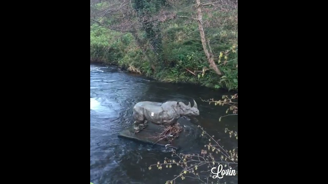 The mysterious Dodder Rhino located near The Dropping Well pub - YouTube