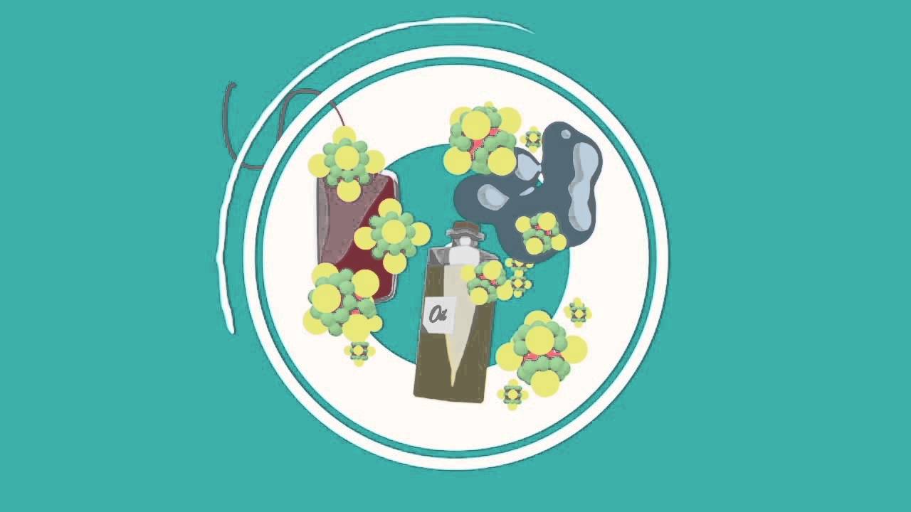 PUREGRAFT -The fat grafting experts - YouTube