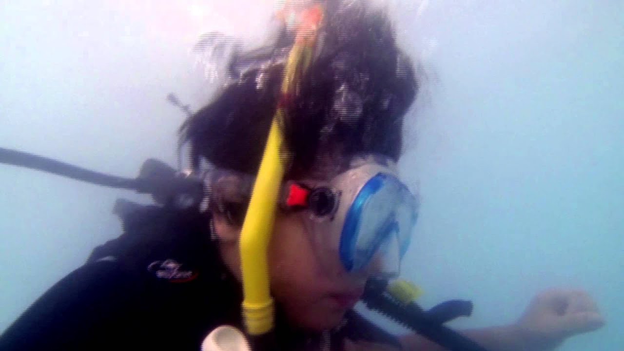 LA PLONGEE EN ALGERIE / ALGERIA DIVING - YouTube