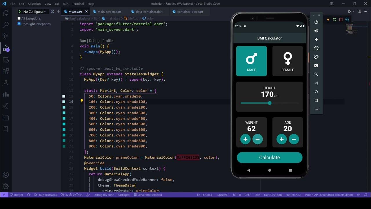 BMI Calculator App | Flutter | Dart - YouTube