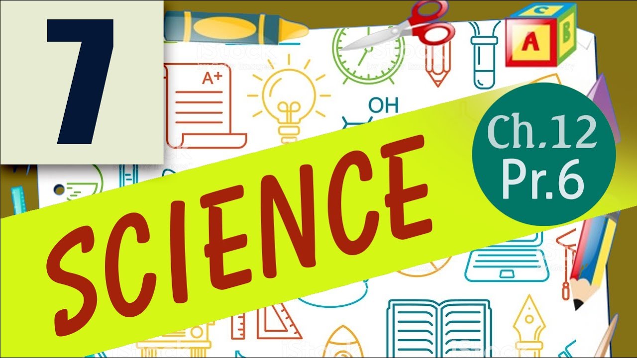 Class 7 Science Chapter No 12 Reproduction In Plants PPT 6 - YouTube