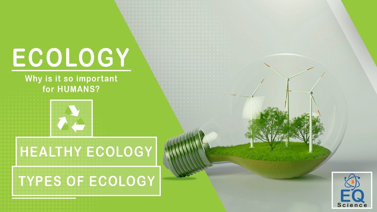Ecology: The Future of Our Planet - YouTube