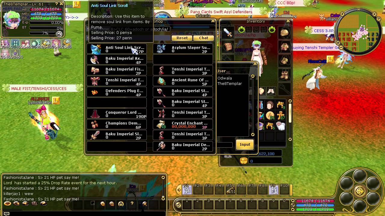 Insanity Flyff E32 - Opening Treasure Boxes and Shopping - YouTube