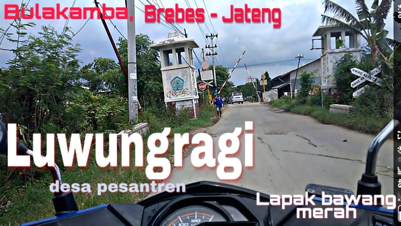 Jalan Desa Luwungragi, Bulakamba Brebes - Jateng - YouTube