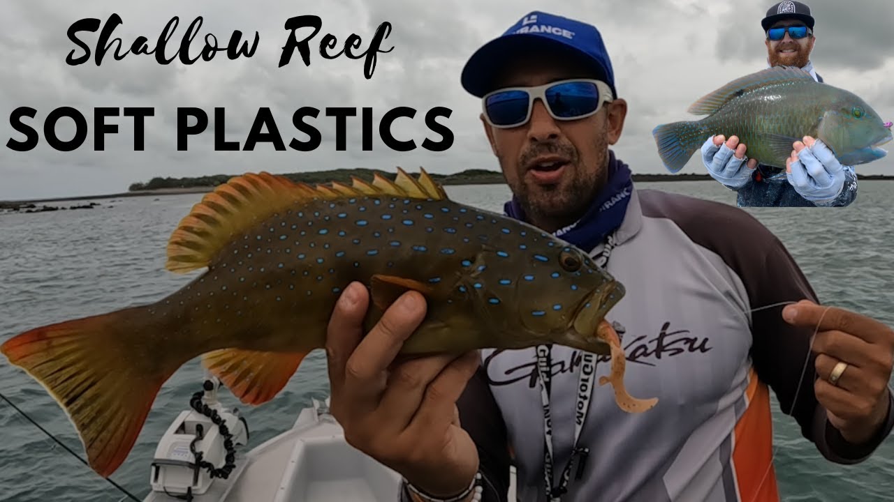 How To Fish Shallow Reef Using Soft Plastics (Mackay) - YouTube