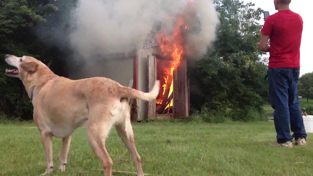 Burning Shed Time Lapse - YouTube