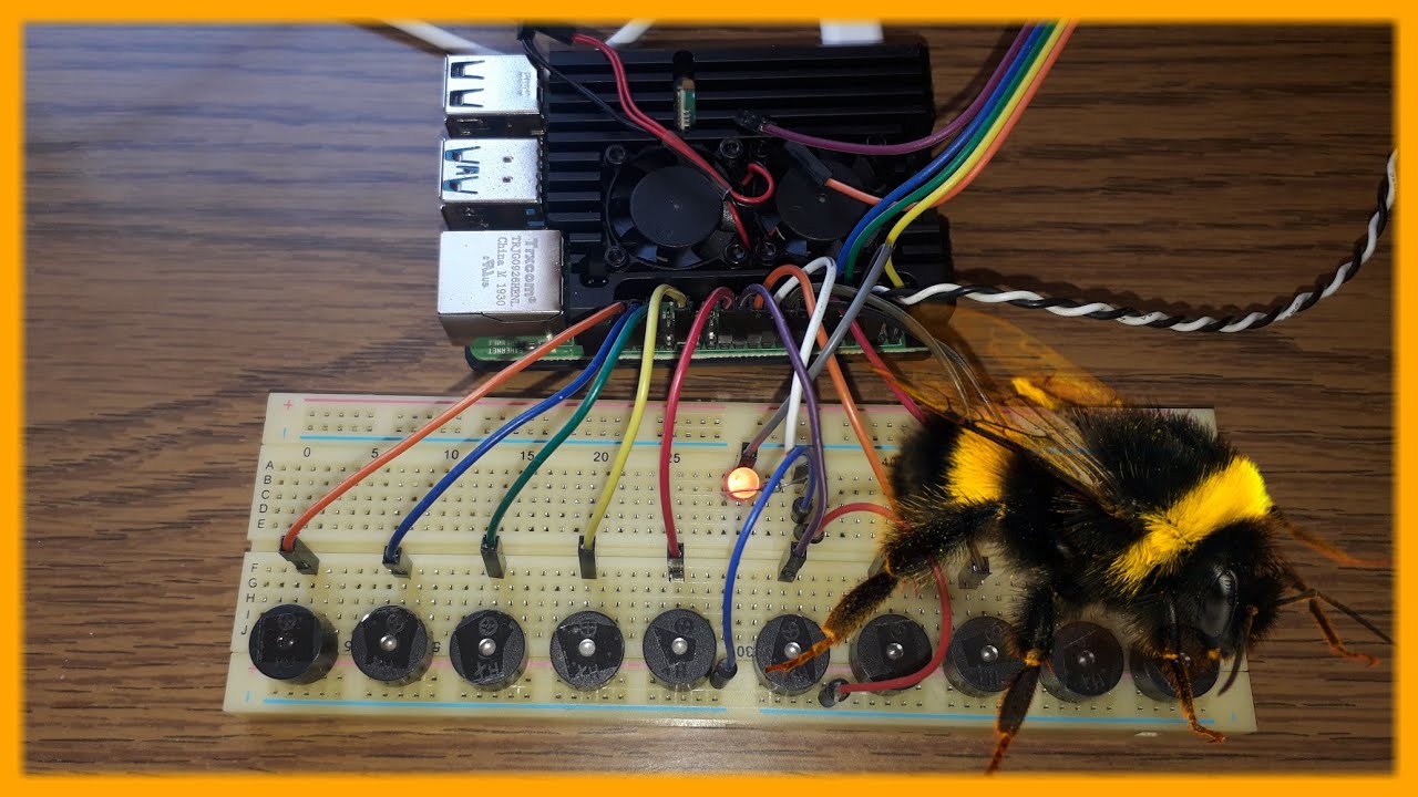 Korsakov: Flight of the Bumblebee on Piezo Buzzers using a Raspberry Pi ...