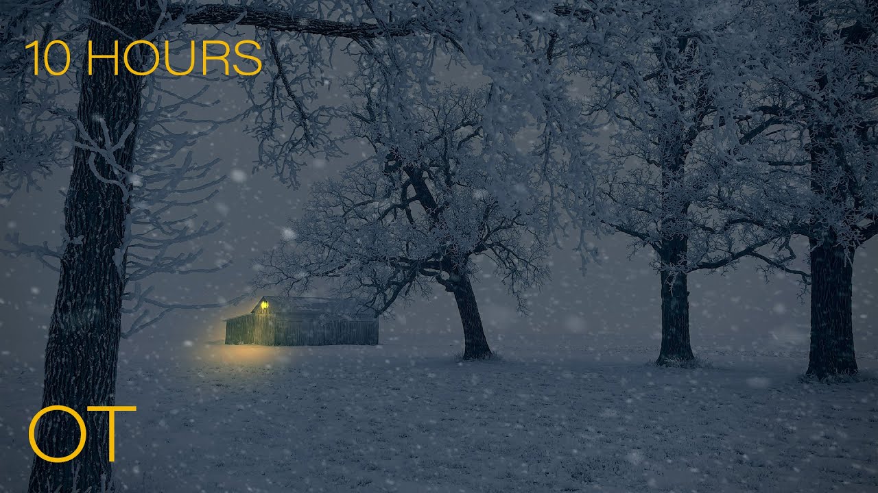 Blizzard at Blue Hour in Plain City | Howling Wind & Blowing Snow ...