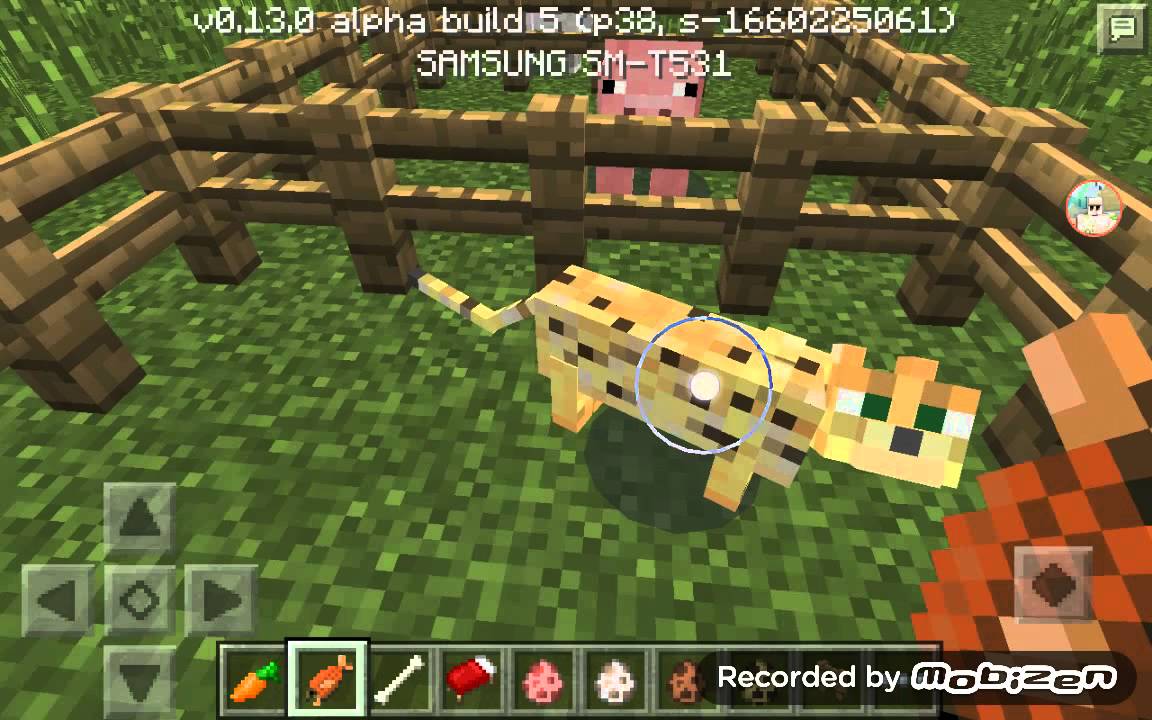 [Minecraft PE] cách thuần hóa mèo,heo,chó,thỏ - YouTube