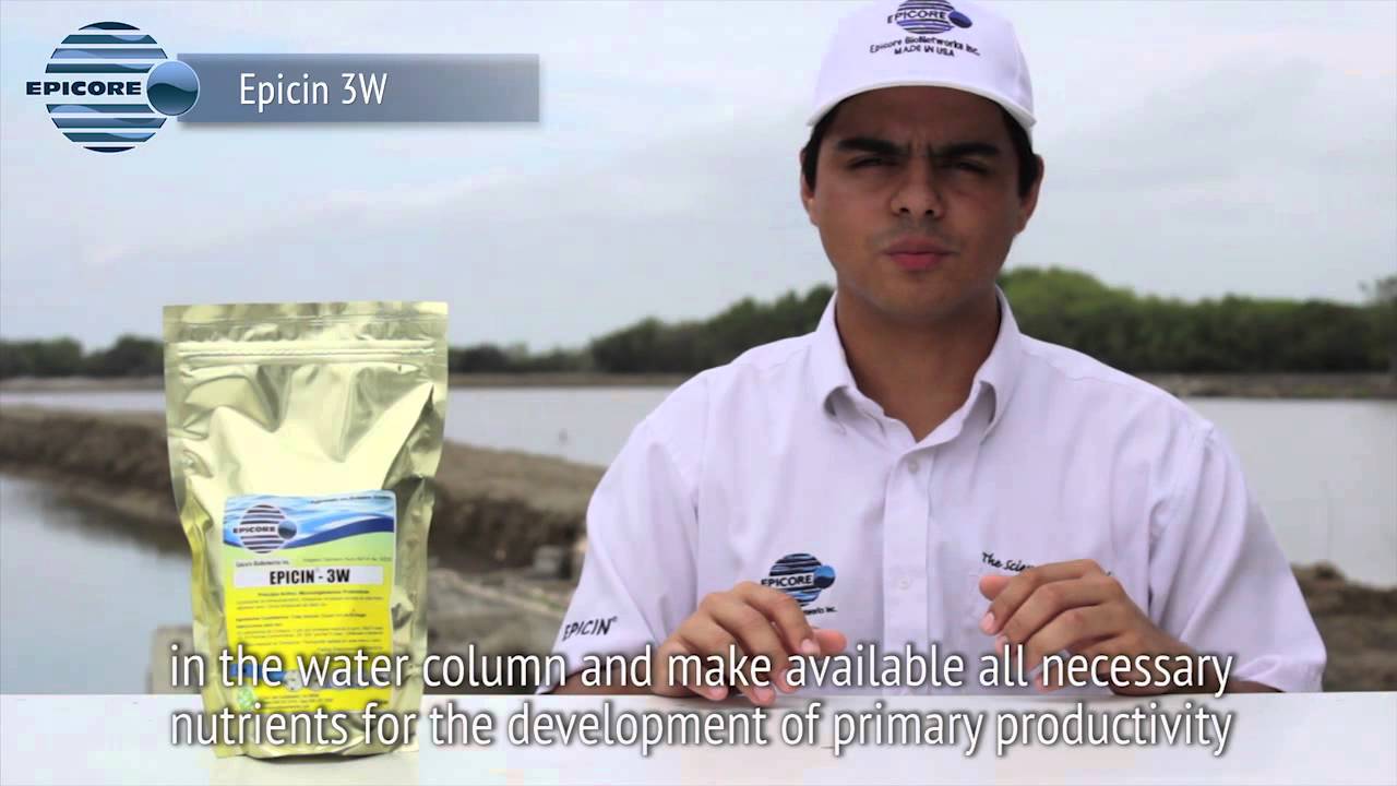 EPICIN 3W PONDS. (Subtitulado) - YouTube