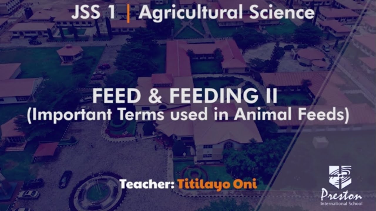 Feed & Feeding II (Important Terms used in Animal Feeds) - JSS1 Agric ...