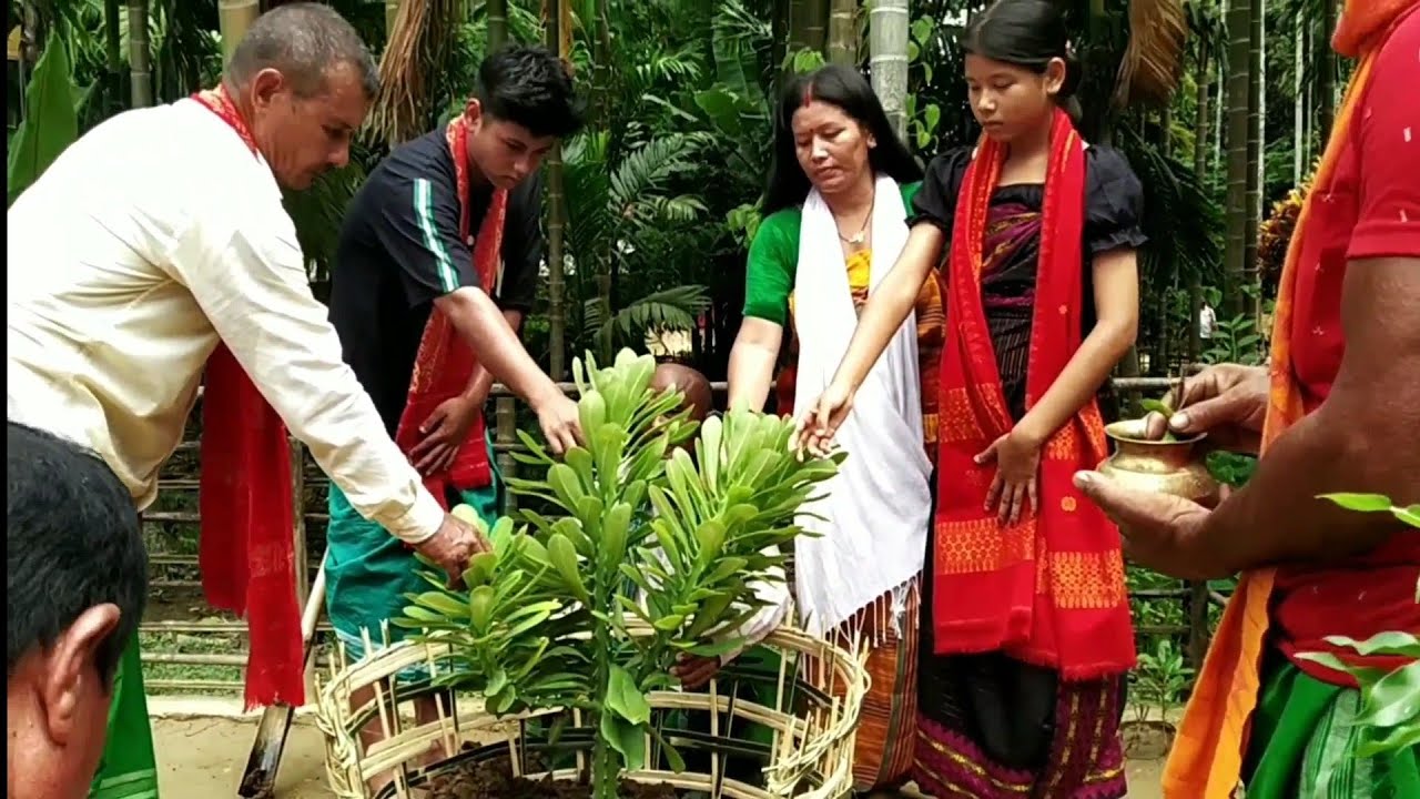 Bodo Assam Local Tribe Family Planting after a prayer in siju Bathou ...