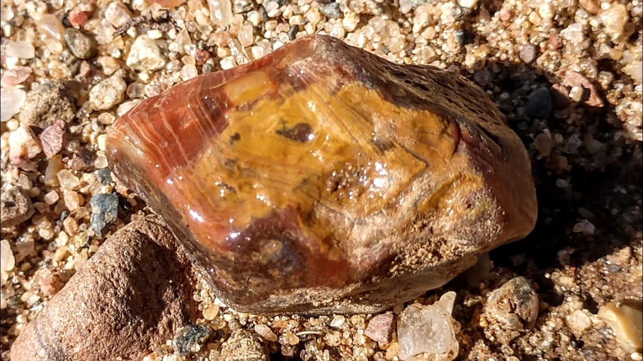 Hunting for Lake Superior Agate's in Crow Wing County, Minnesota ...