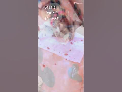 Ketty cute - YouTube