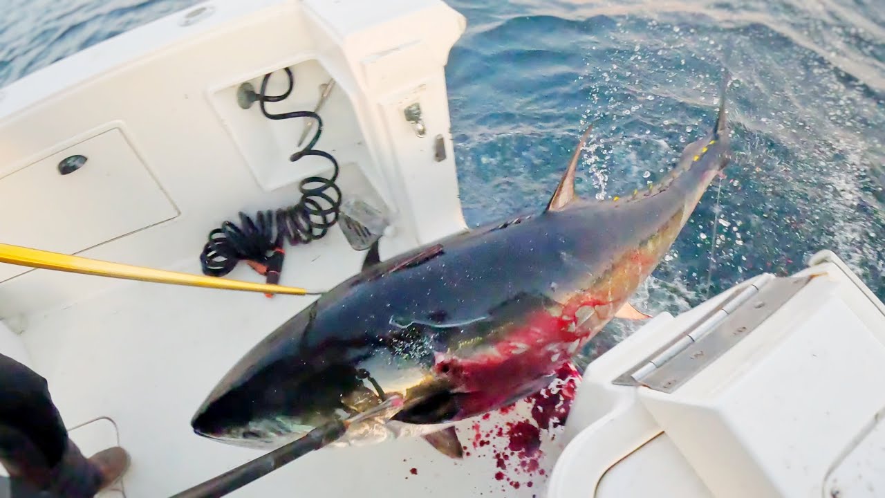 We Fished ALL DAY For This TUNA!! Fall Ghost Bluefin Hunting! - YouTube
