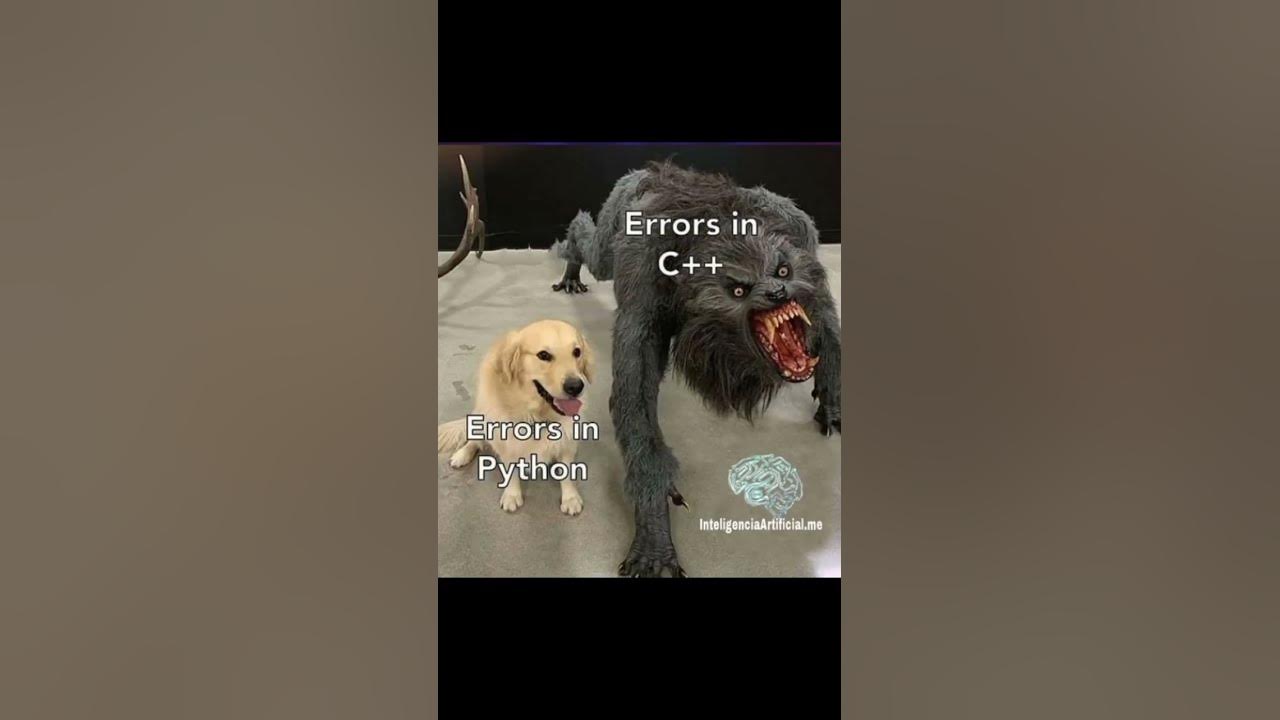 Programming Memes📝🧑‍💻 Coding Youtubeshorts Ytshort Webdevelopment Youtube