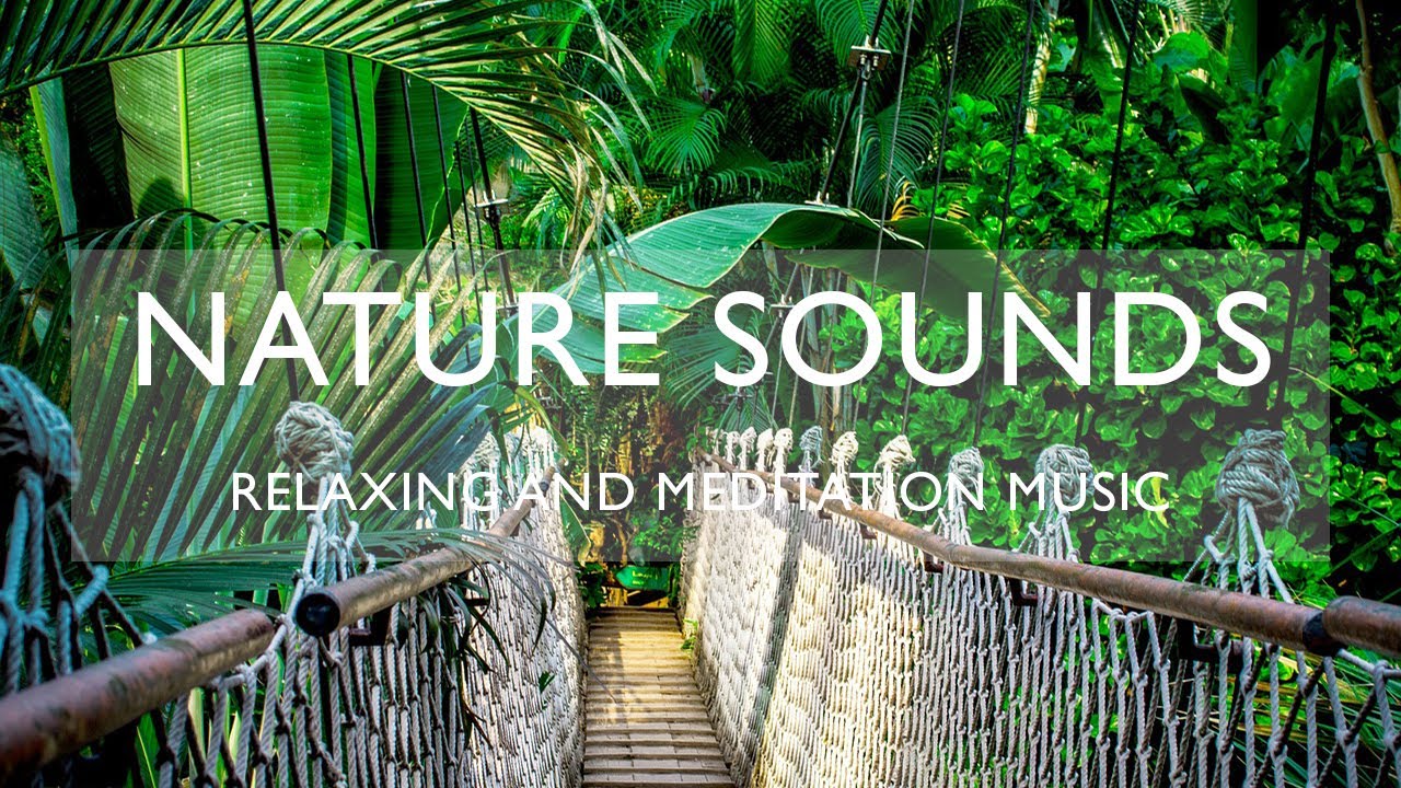 Relaxing Nature Sounds - Meditation Music, Sleep Music - YouTube