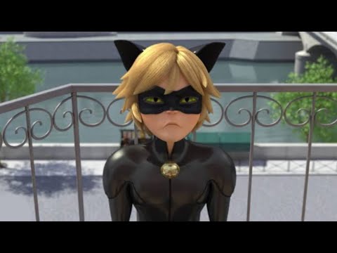chat noir Being chat noir for 2 minutes straight 🗿 👀🌚 - YouTube