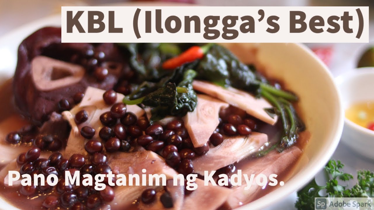 🆕kadyos Recipes And How to Plant Pigeon Peas KBL Recipes | Ilonggo ...