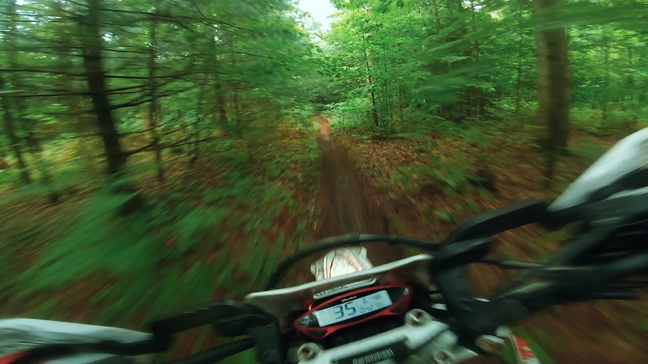 Scorra - Baxter - I move a log, practice front braking and realise why ...