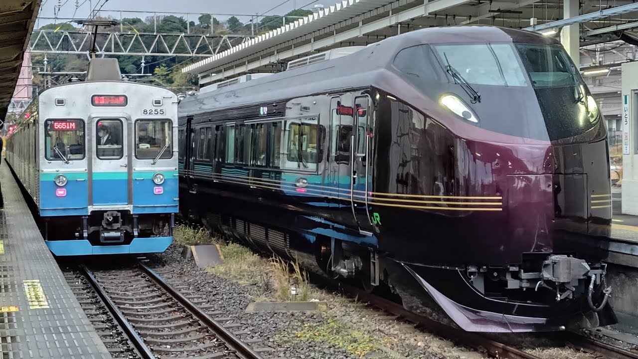 E655を使った東京駅110周年記念号 ️（short版）#jr #jr東日本 #鉄道 #電車 #特急 #e655系 #東京駅110周年記念号#団体臨時列車 #なごみ #バズれ #short ...