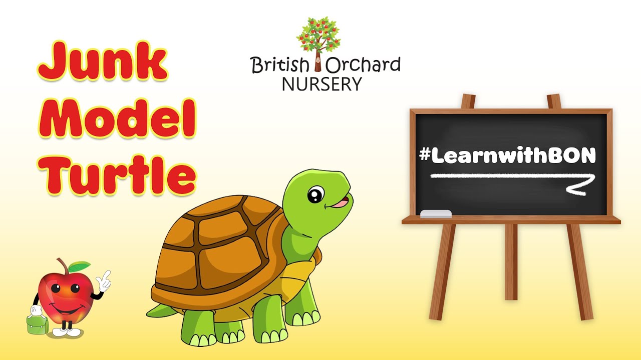 Junk Model Turtle - YouTube