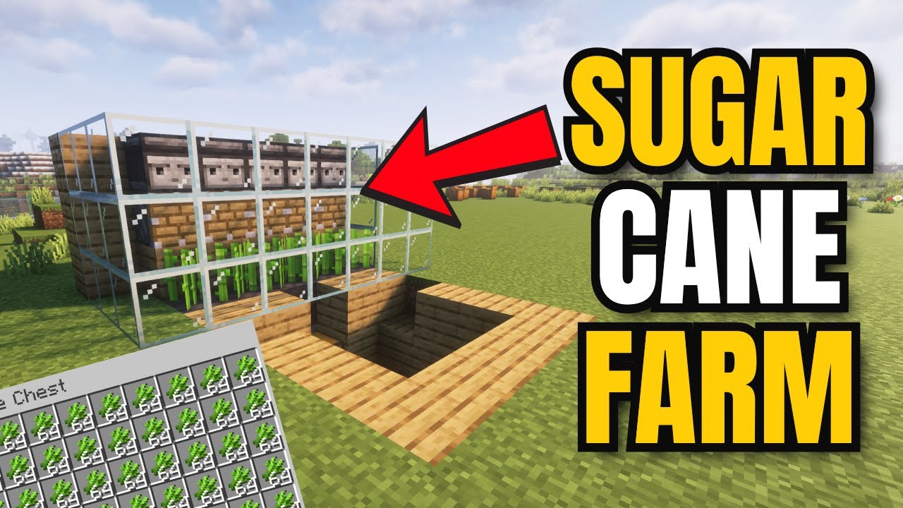 How To Build Easy Automated Sugarcane Farm In Minecraft 1.21 In Under 2 ...