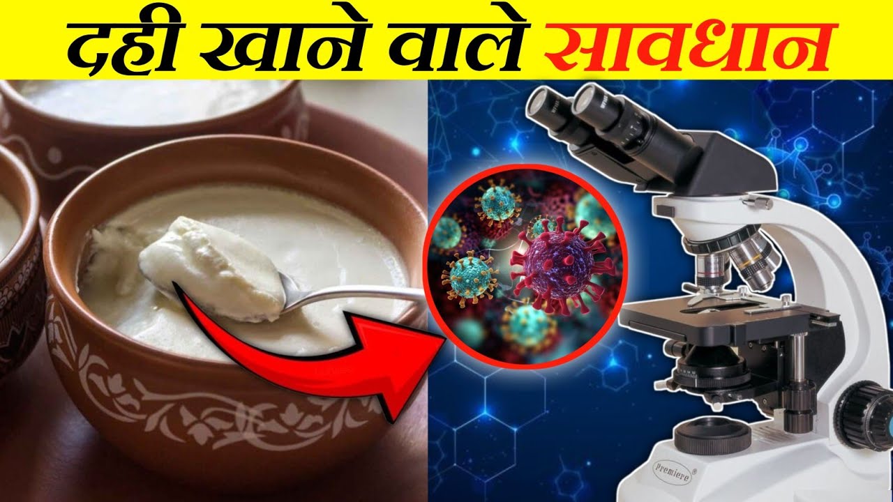 How Does CURD Looks Under A MICROSCOPE? - YouTube