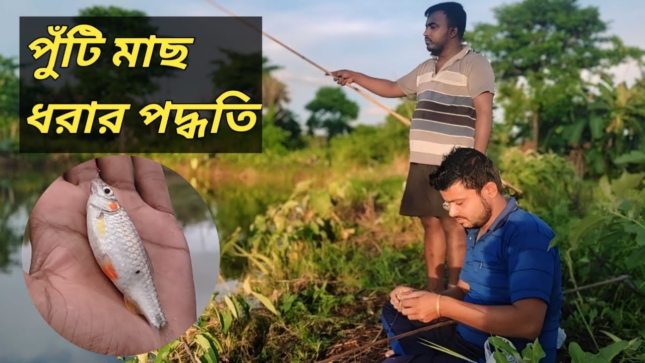 puti mach dhorar poddhoti /💠বড়ো বড় সাইজ এর সব দেশি পুঁটি মাছ 💠# ...