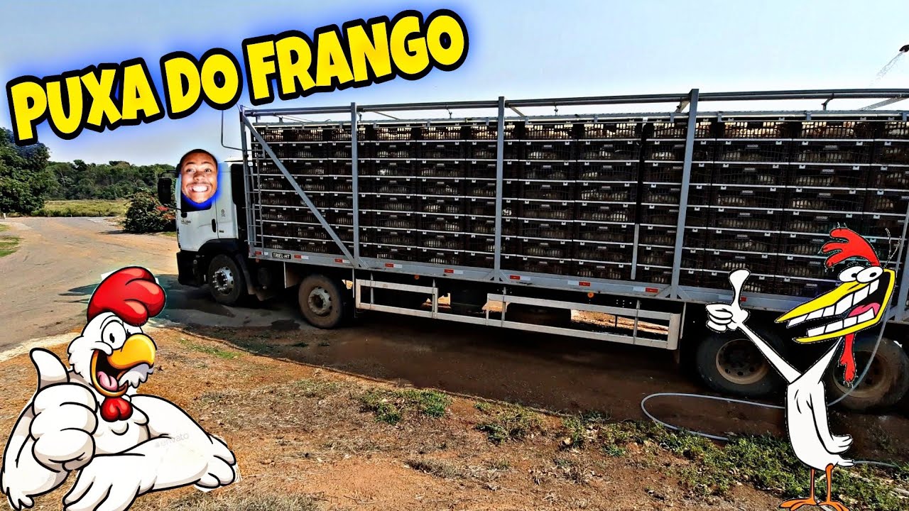 NO PUXA DO FRANGO. OLHA O QUE DEU || MOISES DA ROTA 163 || - YouTube