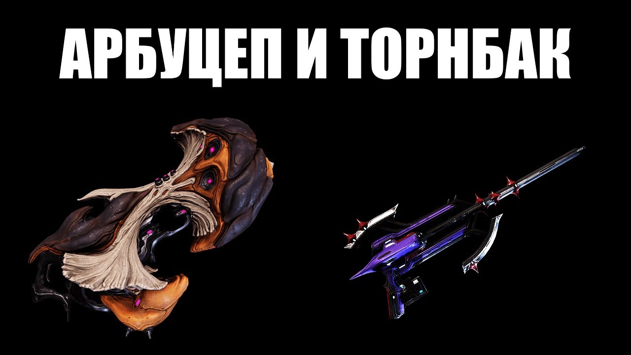 Warframe | Новинки арсенала - грибной ракетомёт и винтовка неофита 🔫 ...